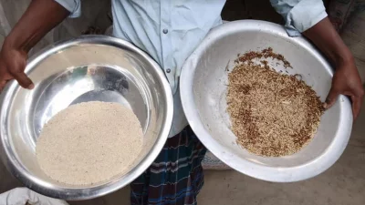 বাঁশফুলের দানা থেকে ‘ভাতের চাল’, উৎসুক মানুষের কেনার হিড়িক, দামও কম